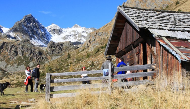 Val Pusteria - Alto Adige e Tirolo orientale - val-pusteria.net